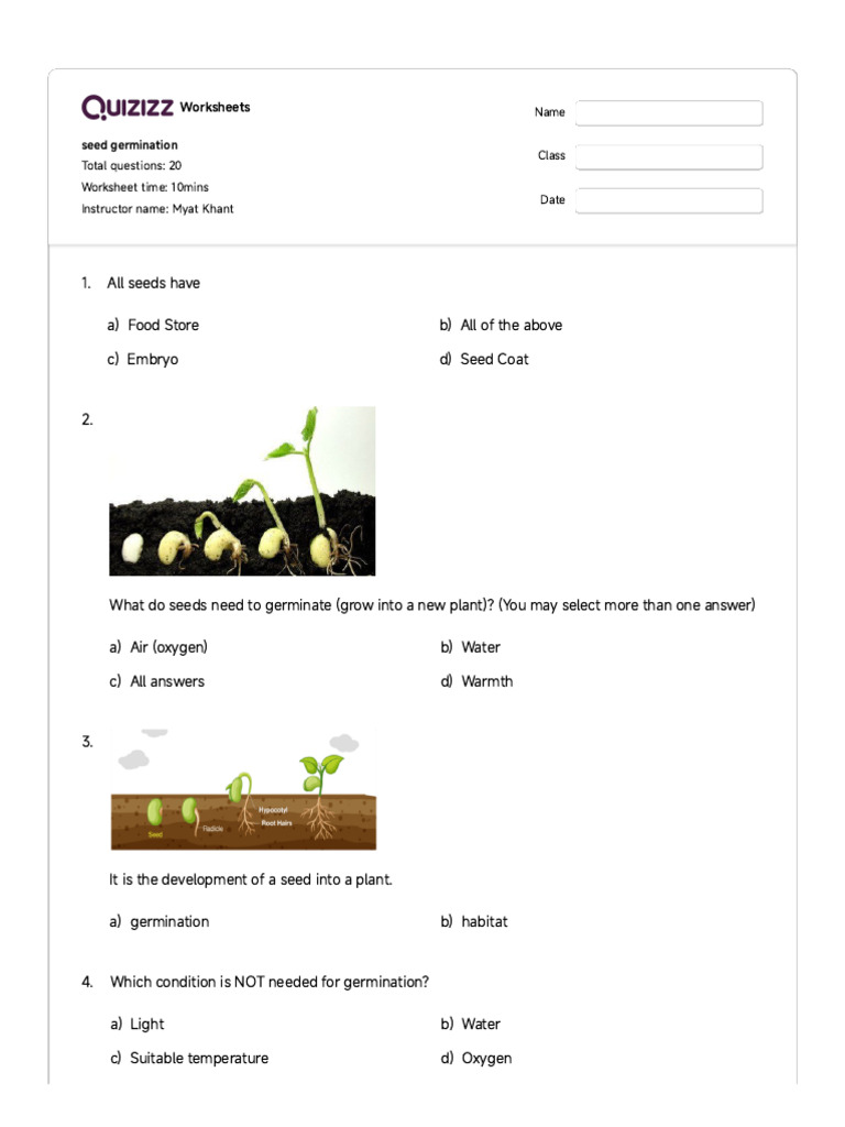 Understanding Seed Germination | PDF | Seed | Germination
