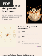 Triatominos | PDF | Biología