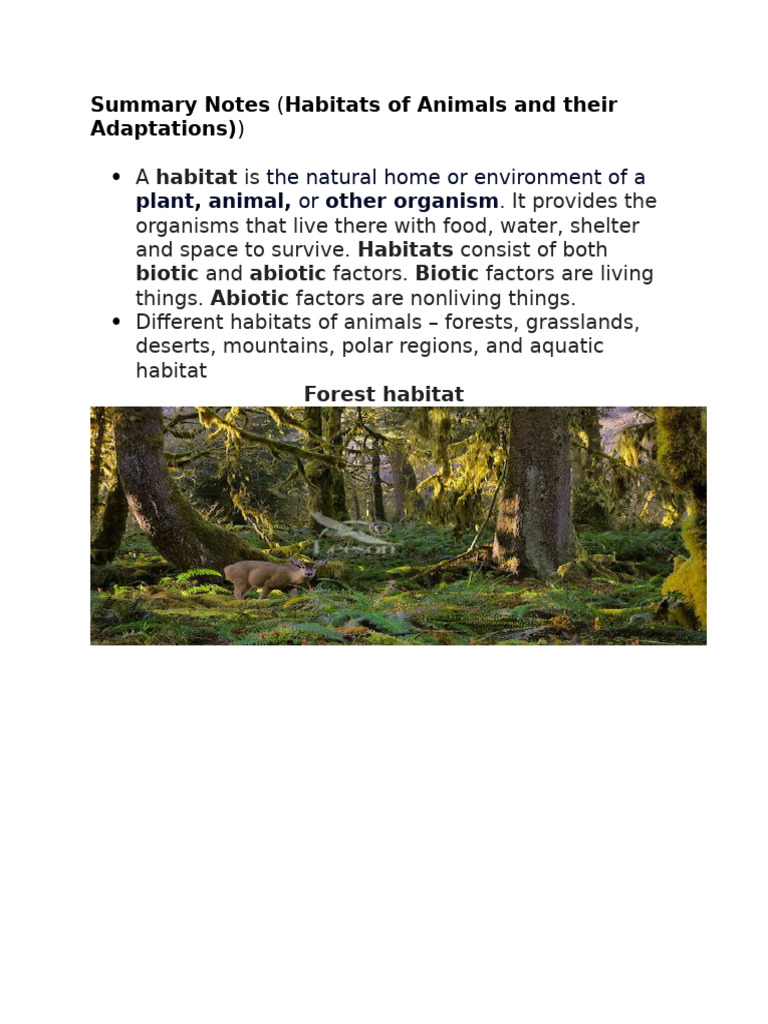 Summary Note Q2 Habitats of Animals and Their Adaptations | PDF ...