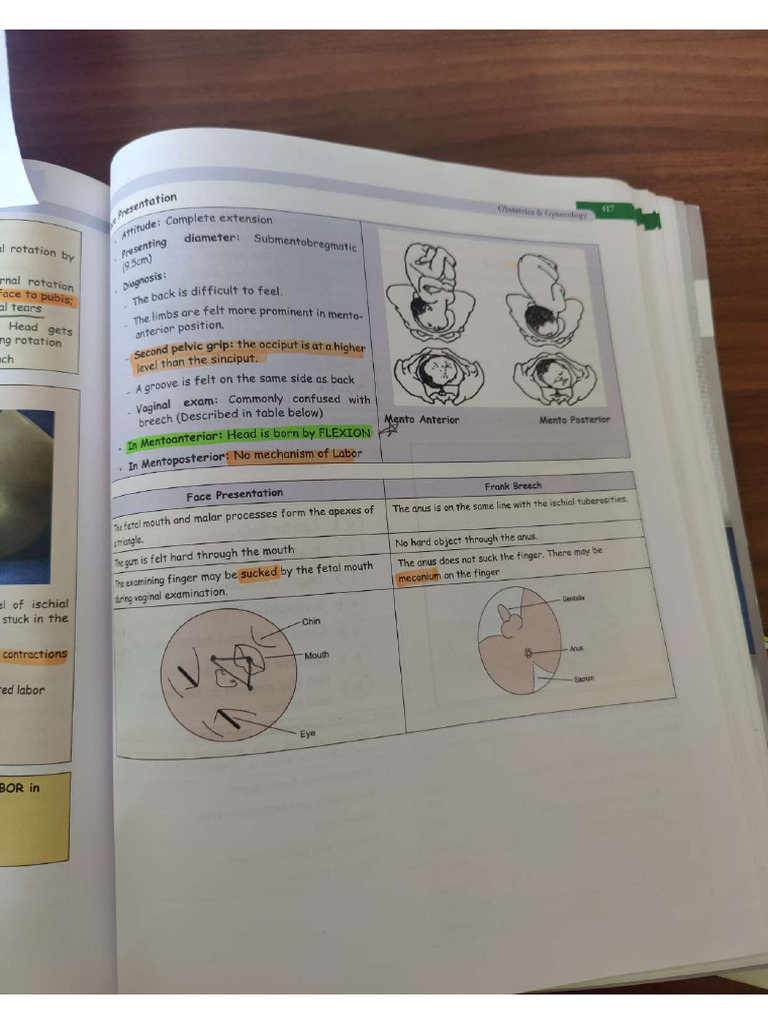 Face Presentation | PDF