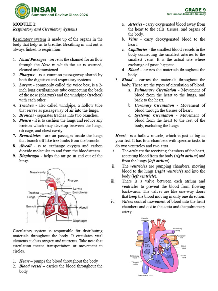 ISSRC Science Grade 9 | PDF | Dominance (Genetics) | Lung