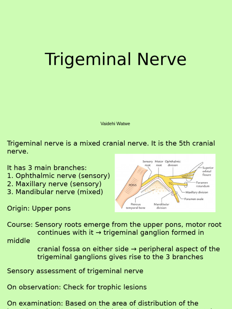 Trigeminal Nerve Examination Guide | PDF