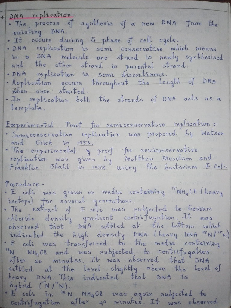 Dna Replication | PDF