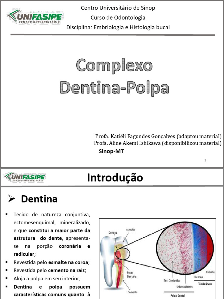 Aula 10 - Complexo Dentino Pulpar | PDF | Dentina | Colágeno