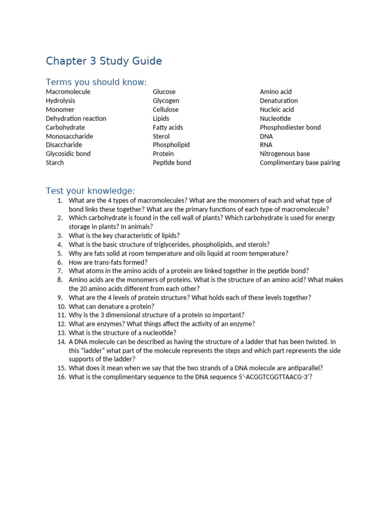 Chapter 3 Study Guide | PDF