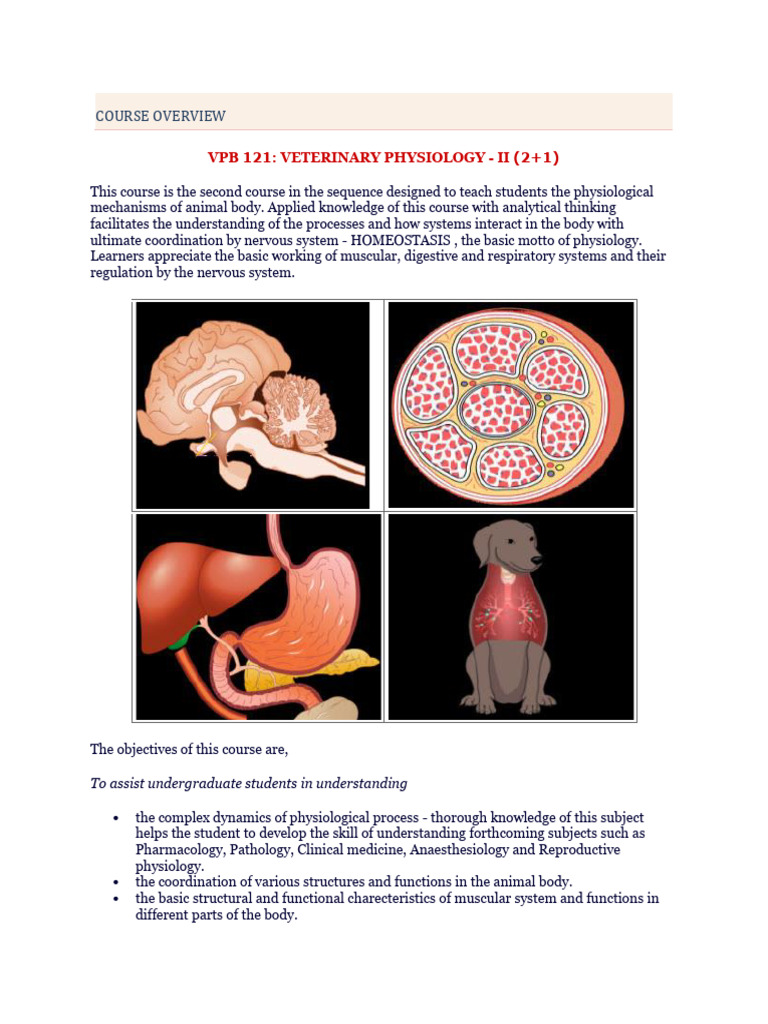 Neuro | PDF | Axon | Myelin