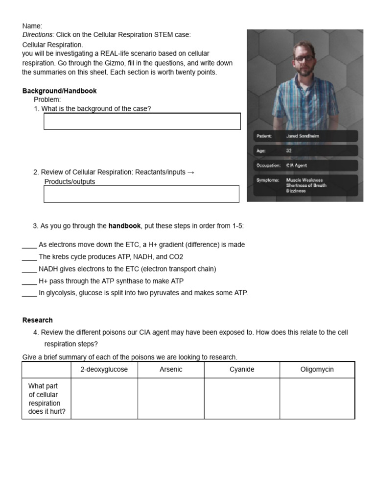 Cell Respiration Stem Case (B) | PDF