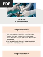 Rectal Prolapse: Diagnosis and Pathology | PDF | Rectum | Medicine