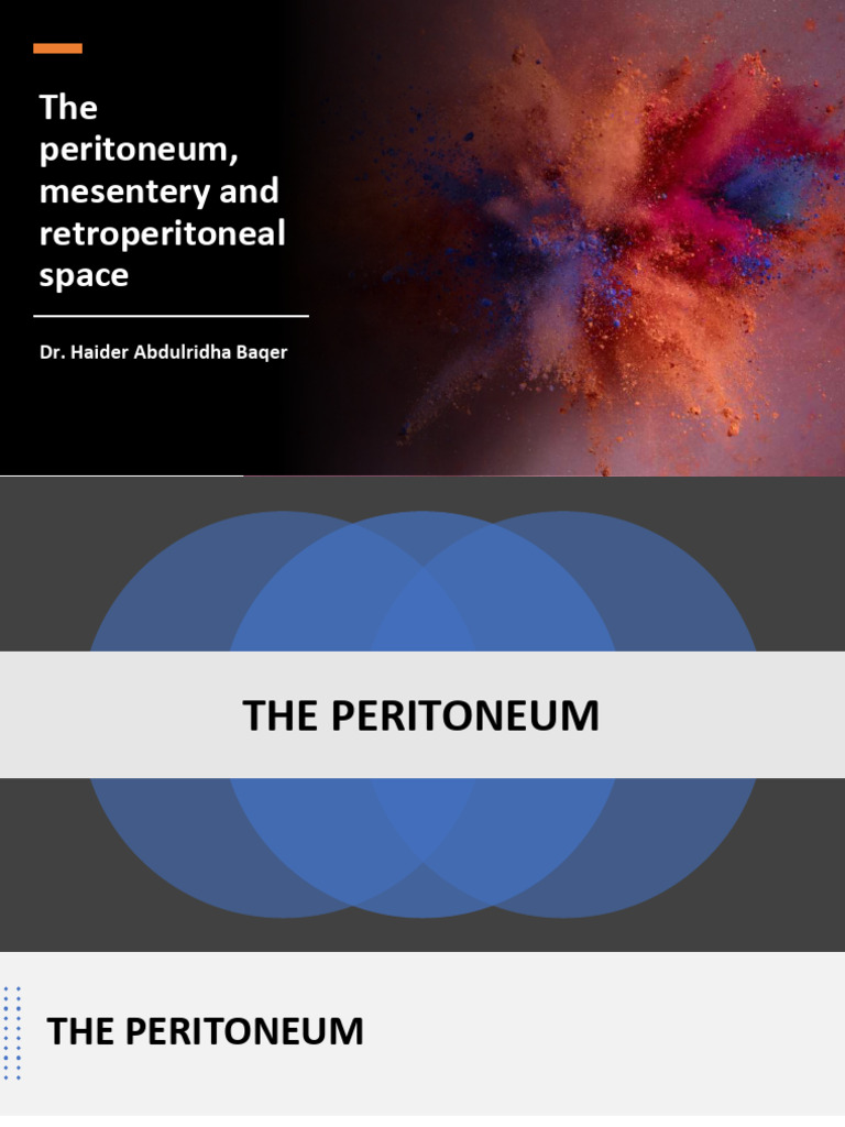 The Peritoneum, Mesentery and Retroperitoneal Space | PDF | Peritoneum ...