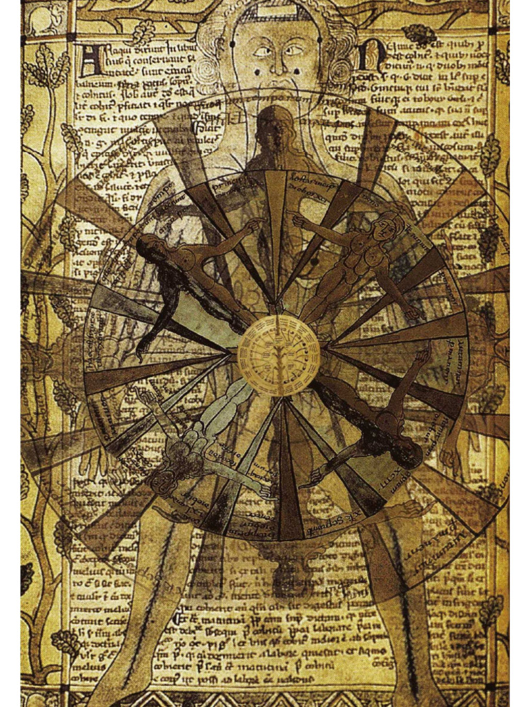Medicina Medieval Medicine in The Midle | PDF