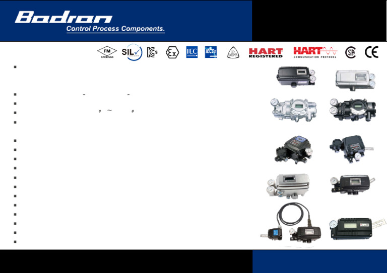 Badran Positioner | PDF