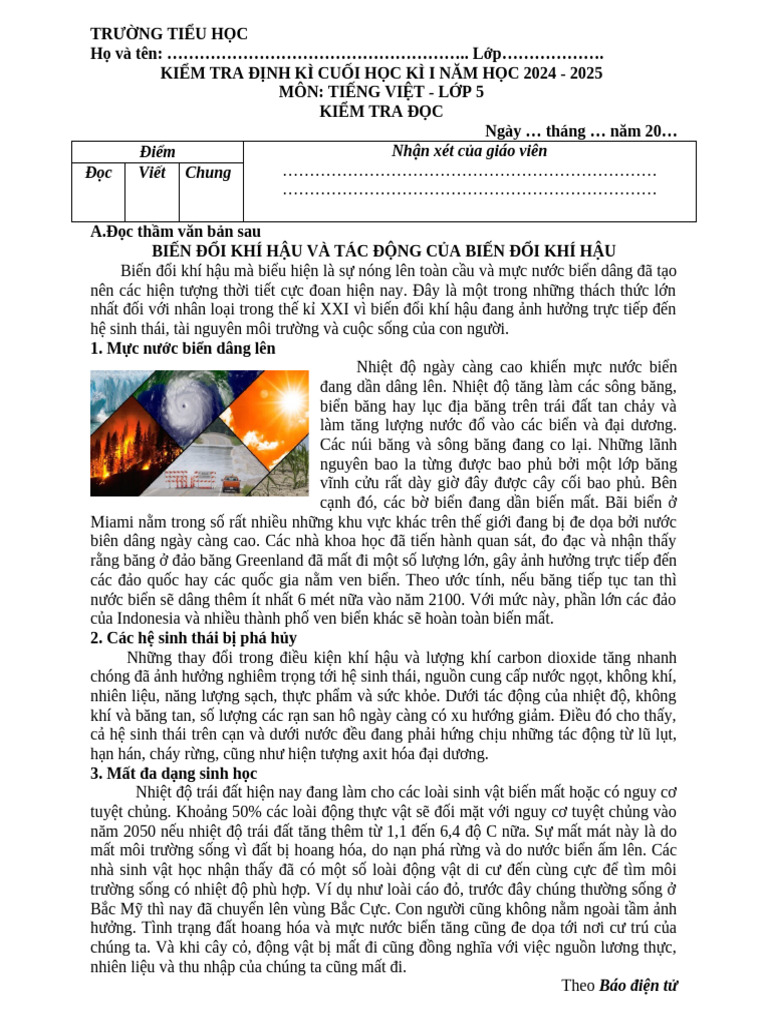 ĐỀ 5B - CK1 - TV KNTT | PDF