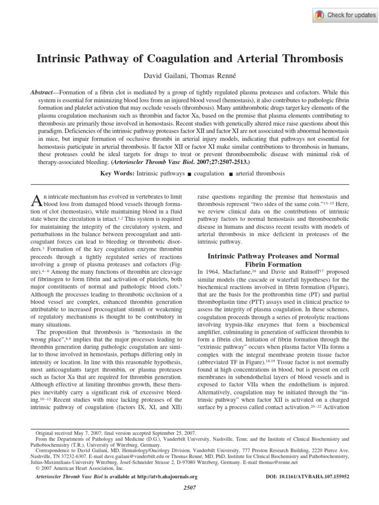 Intrinsic Pathway of Coagulation and Arterial Thrombosis | PDF ...
