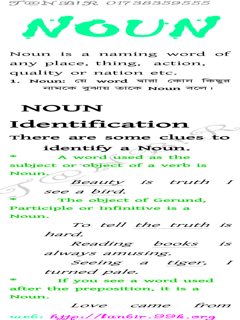 Noun | PDF
