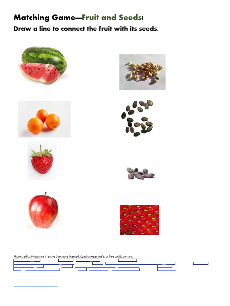 Fruit-Flower-Seed-Matching-Game | PDF | Creative Commons License | Fruit