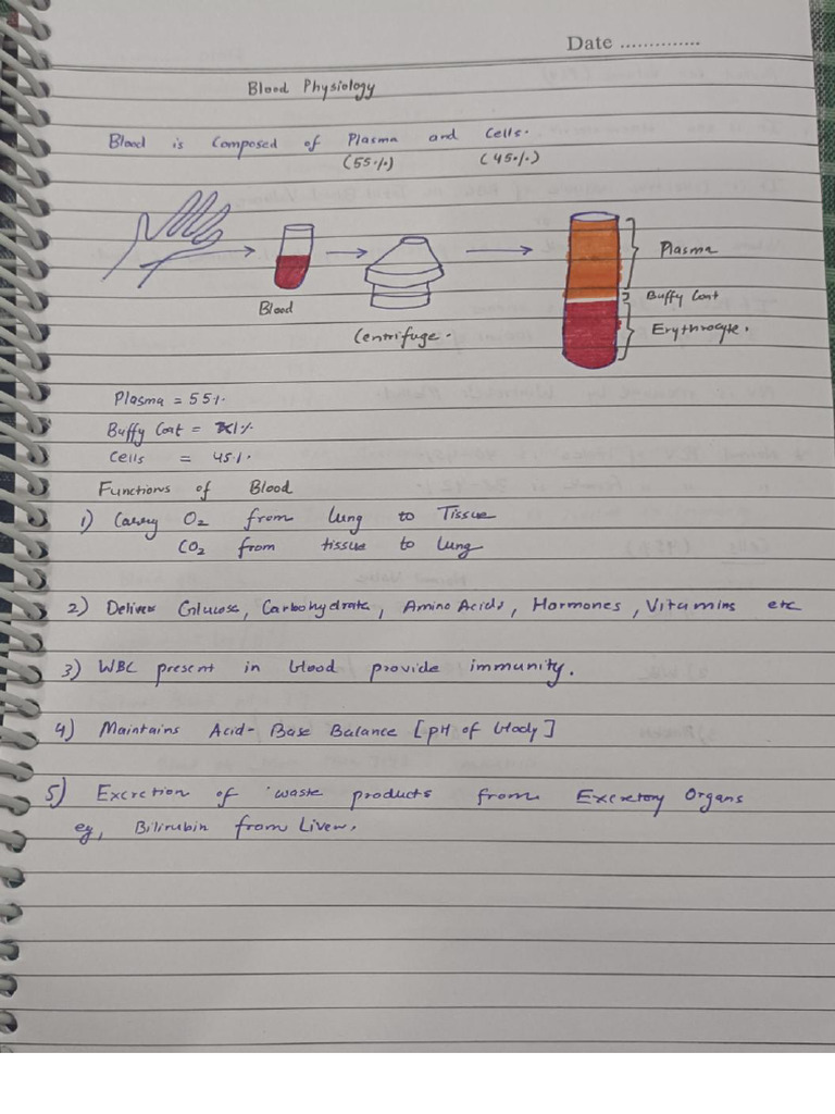 Blood Physiology Notes | PDF