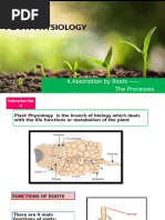 Greek Handwriting - Handwritten Greek Letters - How To Handwrite in ...