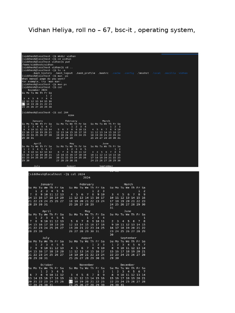 Vidhan Heliya practical 4 | PDF