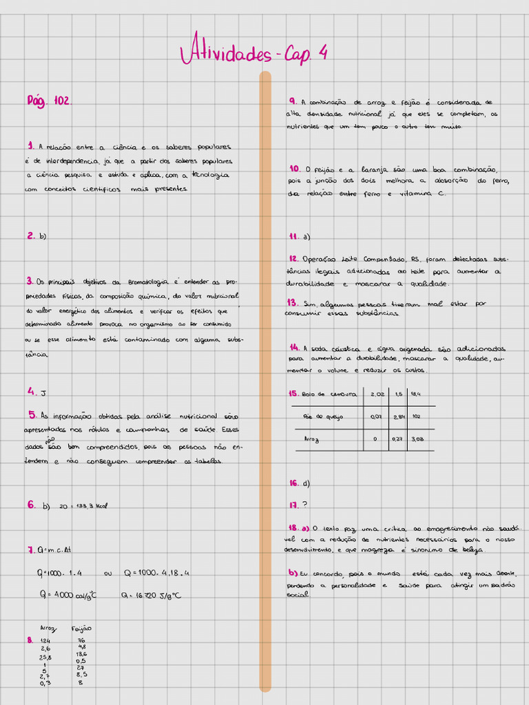 Atividade - Cap 4 | PDF