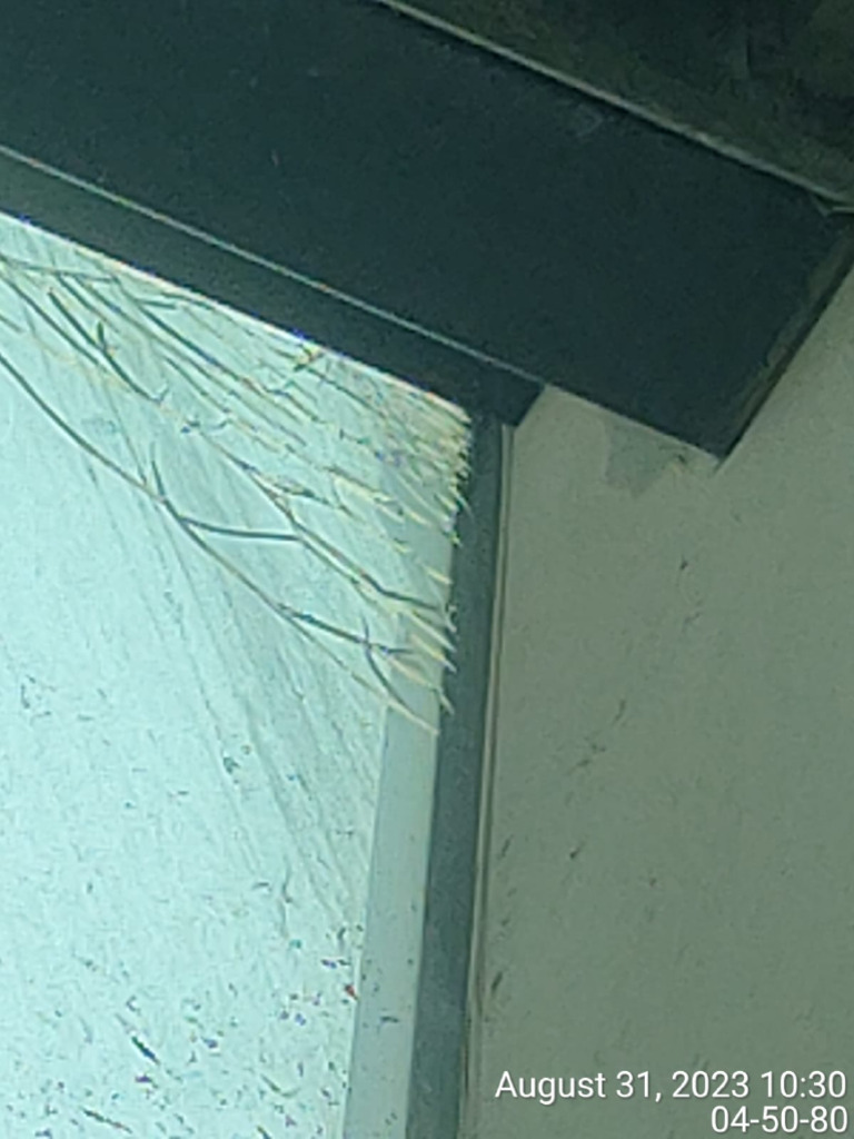 Broken Glass 4 | PDF