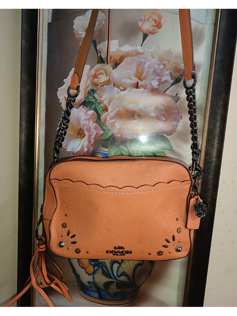 Coach Handy Bag | PDF