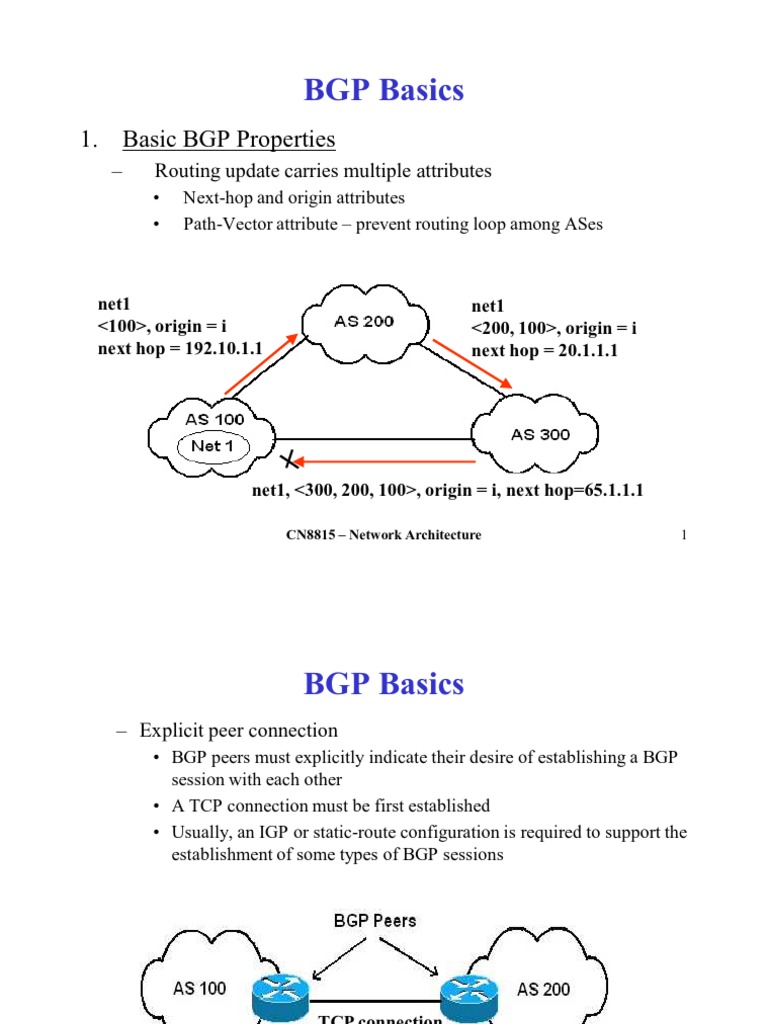Bgp Basics Pdf Routing Router Computing
