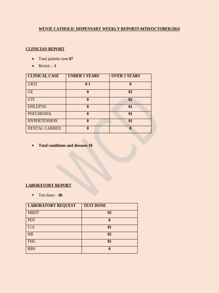Report 04TH Octo 2024 | PDF