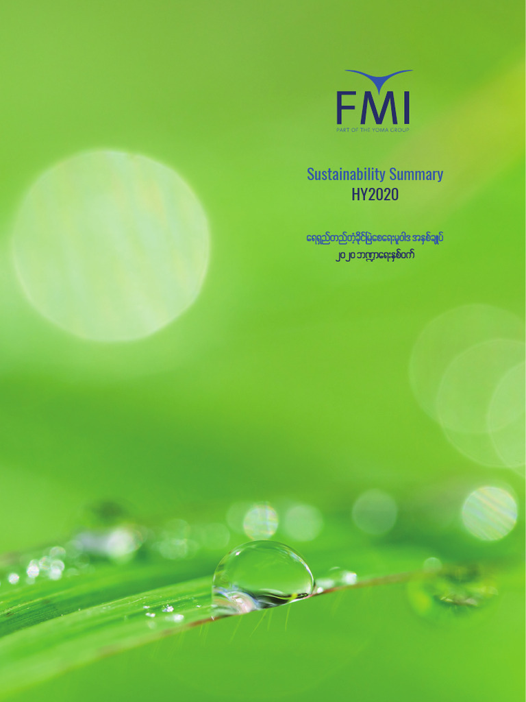 FMI - Sustainability Summary HY2020 | PDF