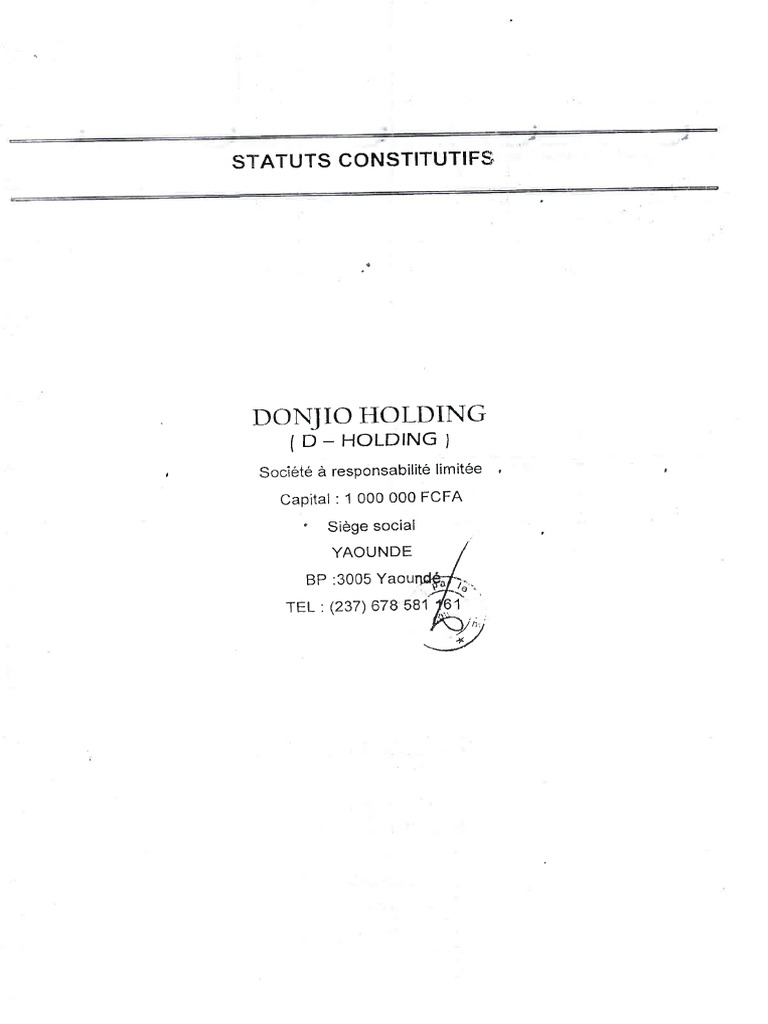 Statuts D - Holding | PDF
