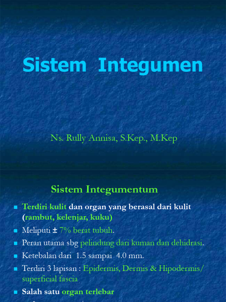 Sistem Integumentum | PDF