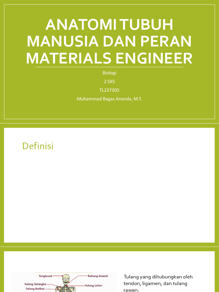 2024 - Biologi Pertemuan 4 (Anatom Tubuh Dan Permasalahannya) | PDF