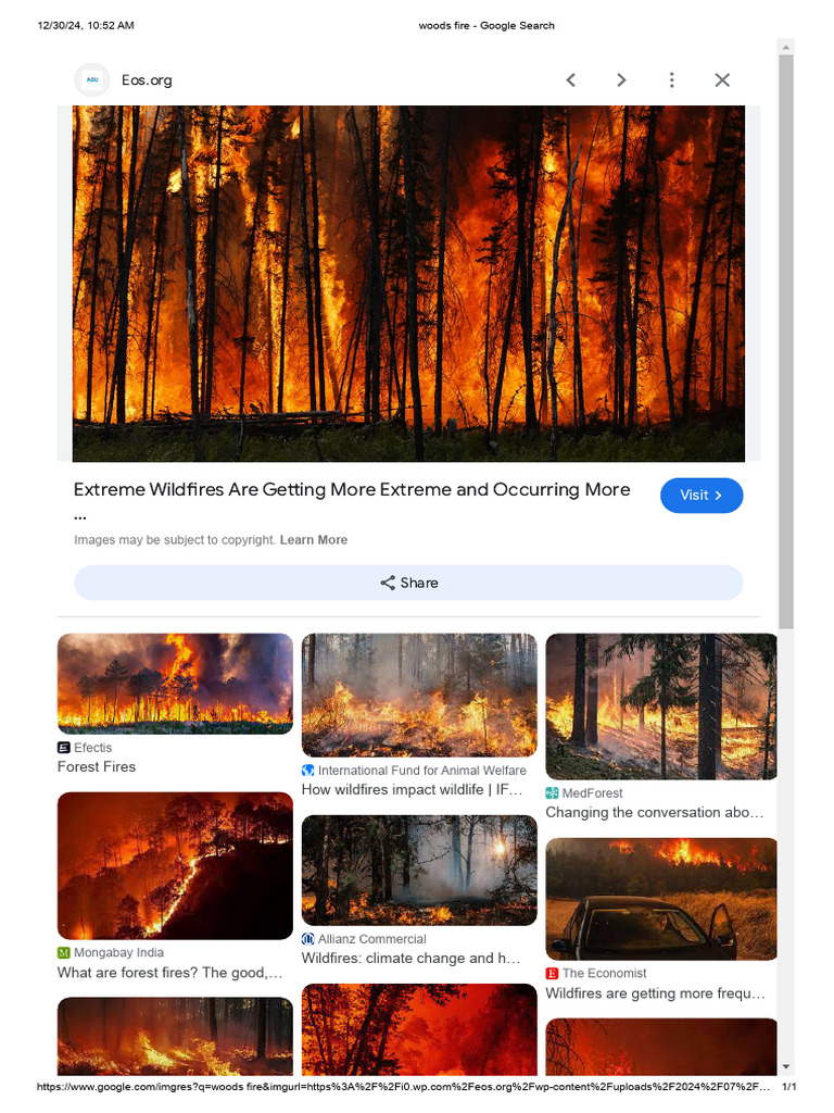 Woods Fire 2 | PDF