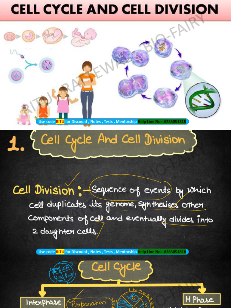 Hand Written Notes + Pyq+Ncert CH 10 Cell Cycle and Cell Division | PDF ...