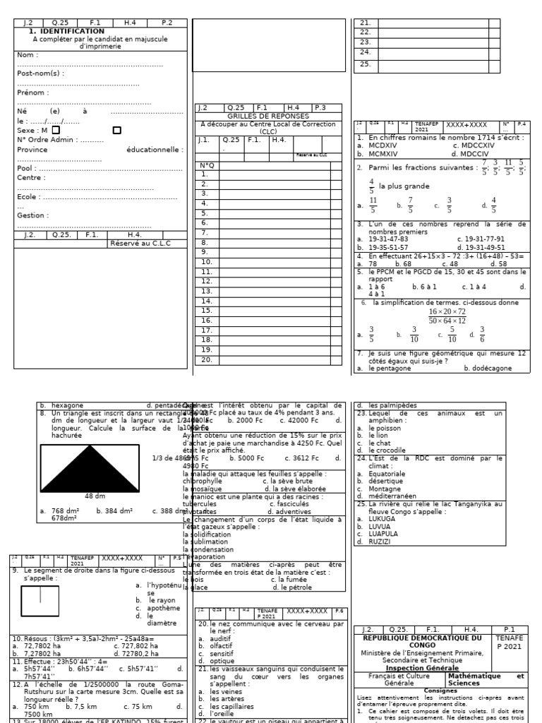 Questionnaire Tenafep 2021 | PDF