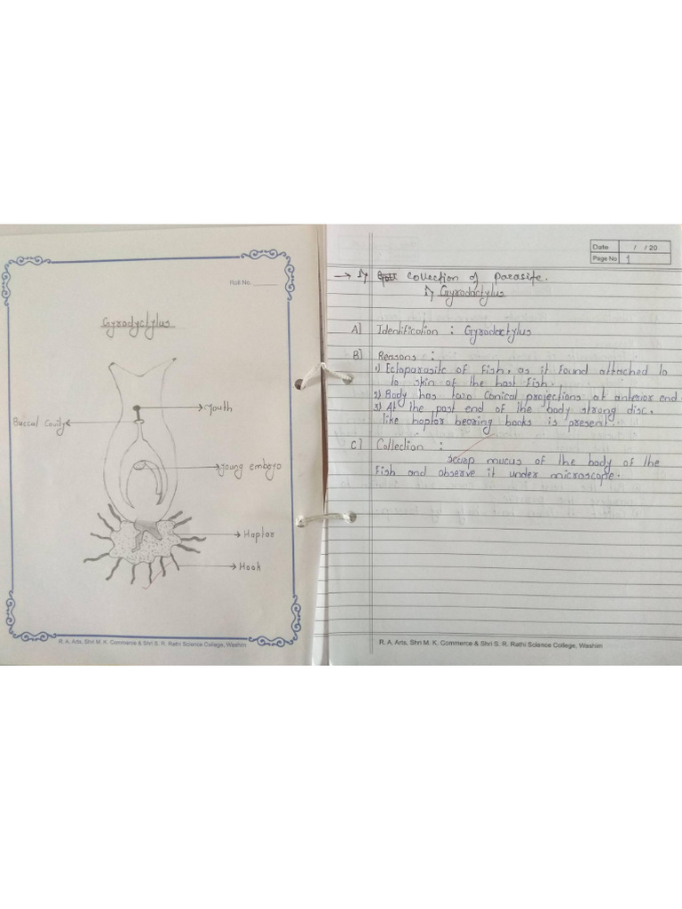 12 Fishery Pract 1 | PDF