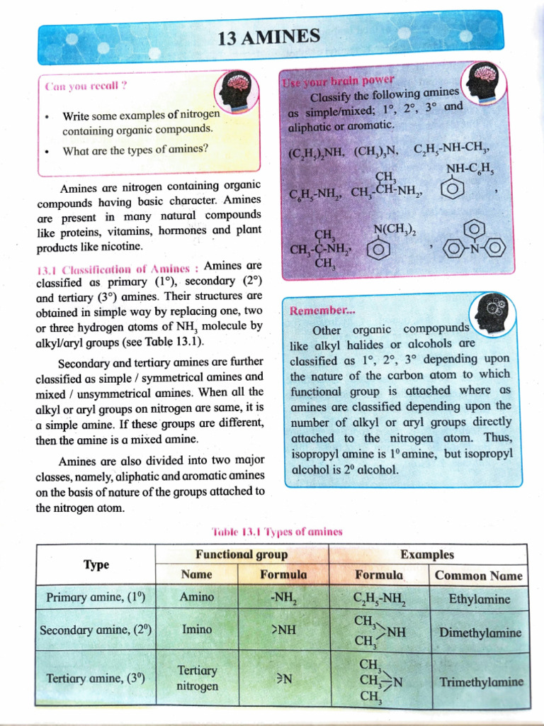 Amines | PDF | Amine | Functional Group