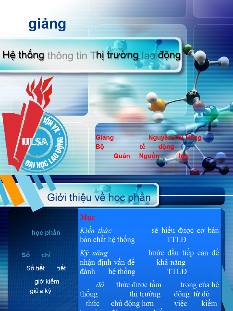 HTTT TTLĐ Slide Hằng PDF | PDF