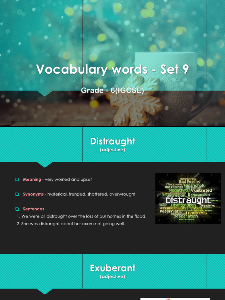 Vocabulary Words - Set 9 | PDF