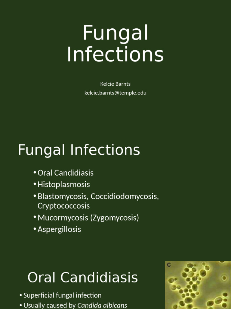 fungal_infection_lec | PDF | Candida (Fungus) | Candidiasis