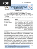 Lec 11 Clasp Assembly | PDF | Mouth | Dentistry Branches