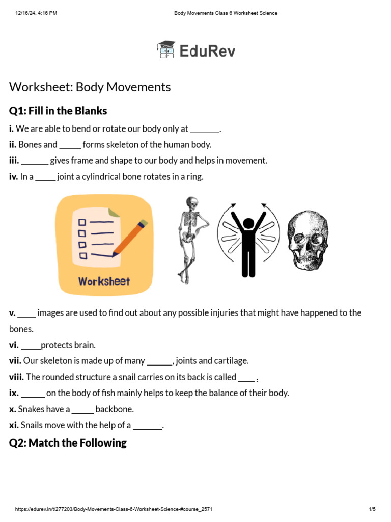 Body Movements Class 6 Worksheet Science | PDF | Skeleton | Shoulder