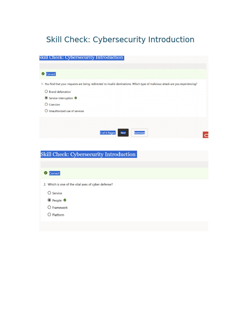 Skill Check Cybersecurity Intro | PDF