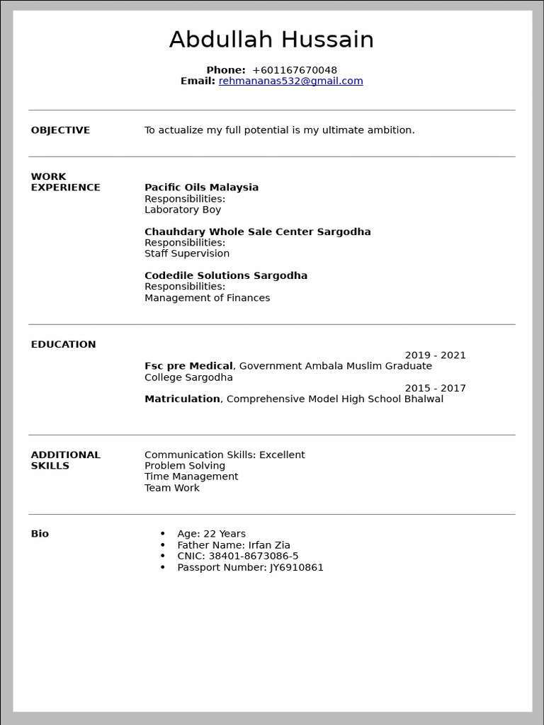 Abdullah's CV | PDF