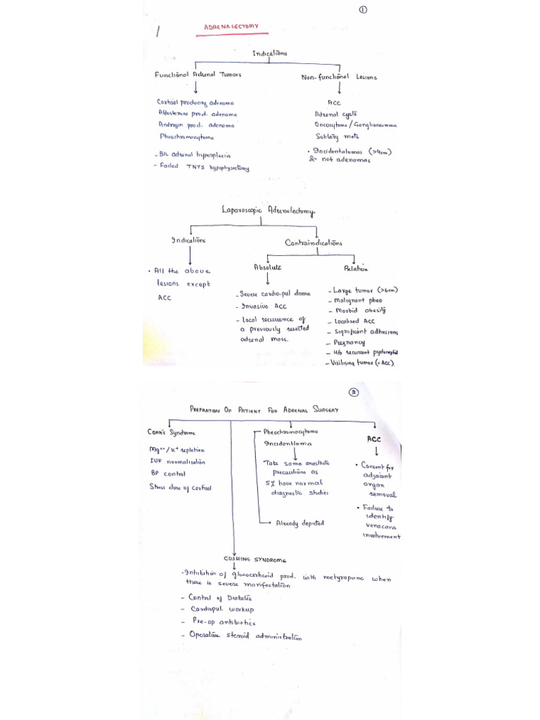 Adrenal Ectomy | PDF