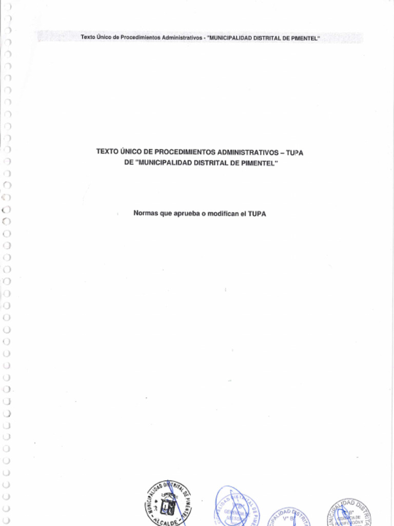 TUPA-2021 (2) | PDF