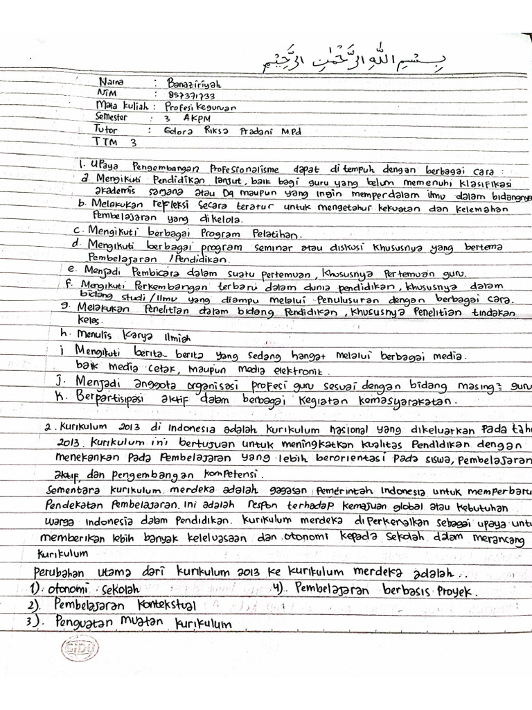 TTM 3 Profesi Keguruan Banaziriyah | PDF