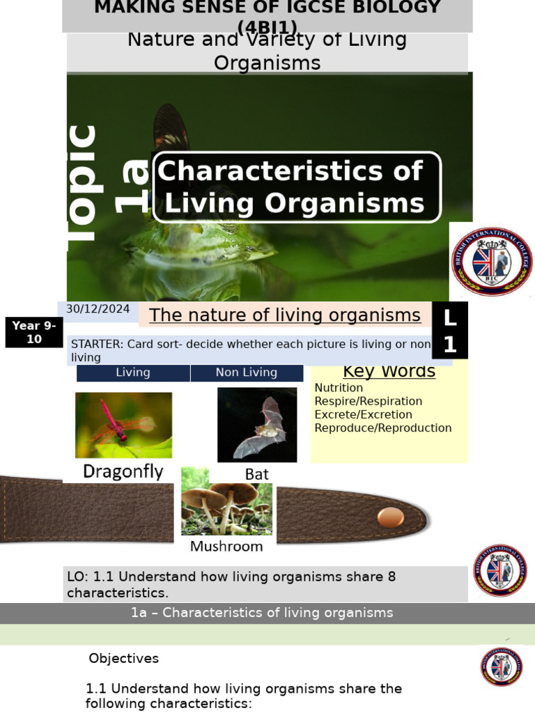 01 Characteristics of Living Things | PDF | Cellular Respiration | Nutrition