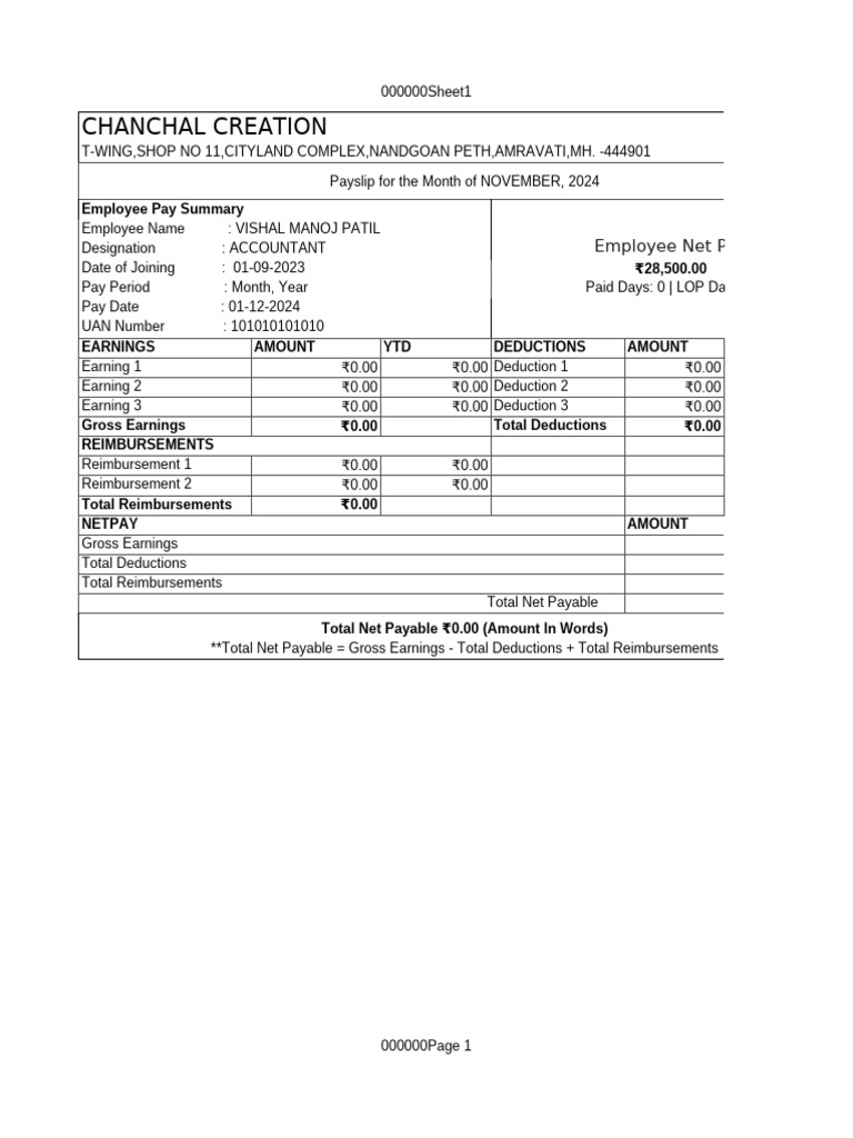 Excel Payslip Template | PDF
