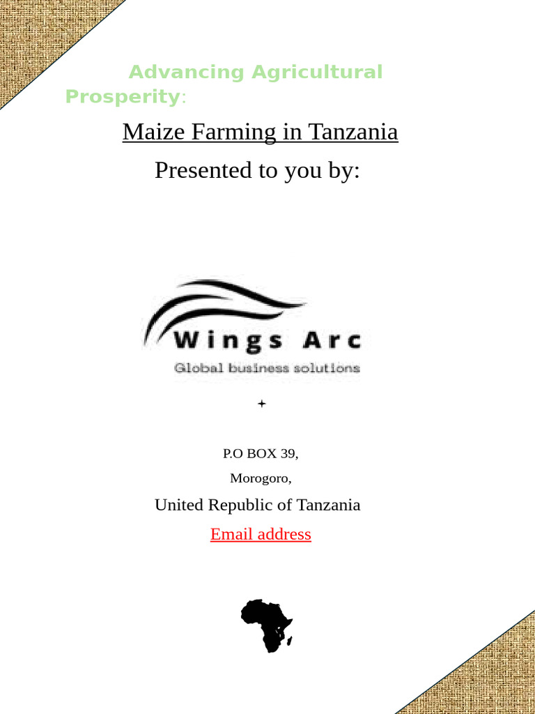 Maize Starch Project | PDF | Agriculture | Maize