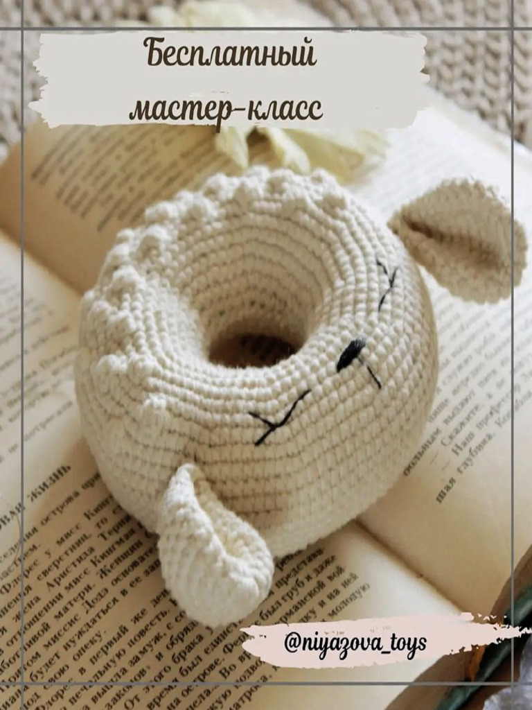 Ponchik Barashek 1633451619 | PDF